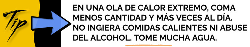 ¡Alerta! 8 consejos para enfrentar el calor y no enfermarse - Daily ...